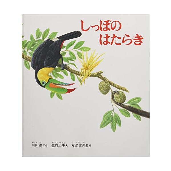 しっぽには、いろいろな働きがあります。物をつかむクモザルのしっぽ、ハエを追い払う牛のしっぽ、バランスをとるリスのしっぽ、体を支えるカンガルーのしっぽ……。それぞれの動物の暮らし方の違いによって、しっぽの働きが違っています。「なんのしっぽでし...