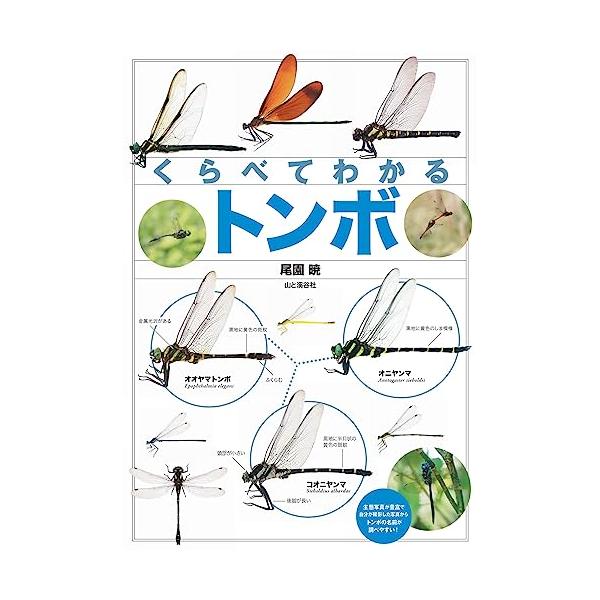 日本のトンボがくらべてわかる！ わかって楽しい、見て楽しいトンボ図鑑  ＊日本本土に生息する代表的なトンボ約120種を紹介！ ＊グループごとに似ている種を一覧でくらべることができるので、違いがわかりやすい。 ＊掲載種はすべてオスとメスの写真...
