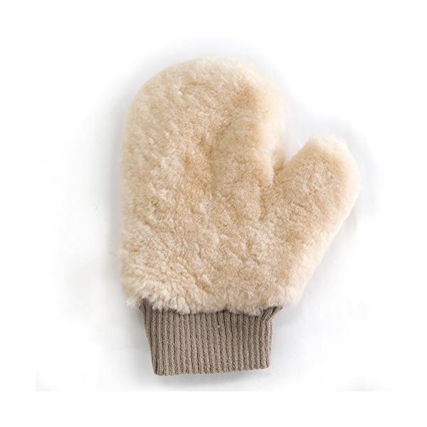 シンプルグローブ/ワンサイズ/-・Color:グローブ・パッケージ個数:1