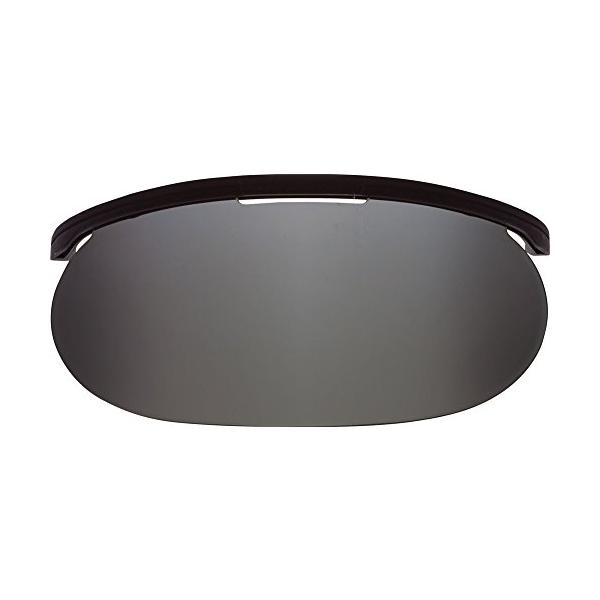 ブラック/ＦＦ/BX8365・パッケージ個数:1・素材:ポリカーボネイト・サイズ:18.8×8.5cm