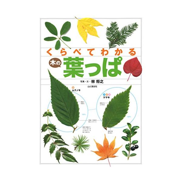 よく似た葉っぱの違い(550種)が一目瞭然。一番分かりやすい樹木図鑑。樹木の葉っぱをくらべて見分けられる。絵合わせもしやすく、わかり易さ抜群! 大好評「くらべてわかる図鑑」、第5弾は「(木の)葉っぱ」。  公園で、野山で、「この葉っぱは何の...