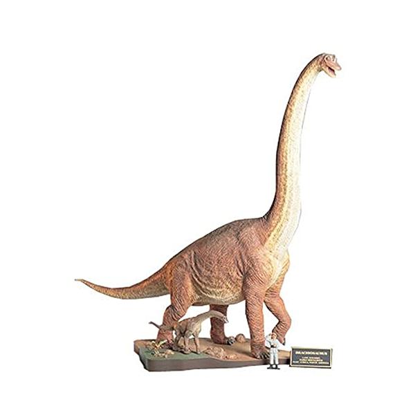 組み立てNo.06 ブラキオサウルス/ワンサイズ/TMYTAM60106・パッケージ個数:1・組み立て、塗装が必要なプラモデル。別途、工具、塗料等が必要。