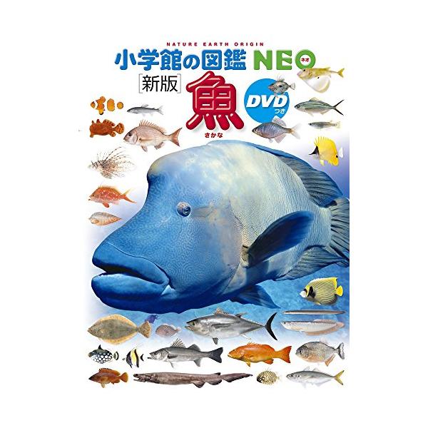 特典ＤＶＤ付き図鑑