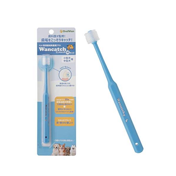 青い/1個 (x 1)/-・Color:青いSize:1個 (x 1)・パッケージ個数:1・サイズ:全長152mm・内容量:1本