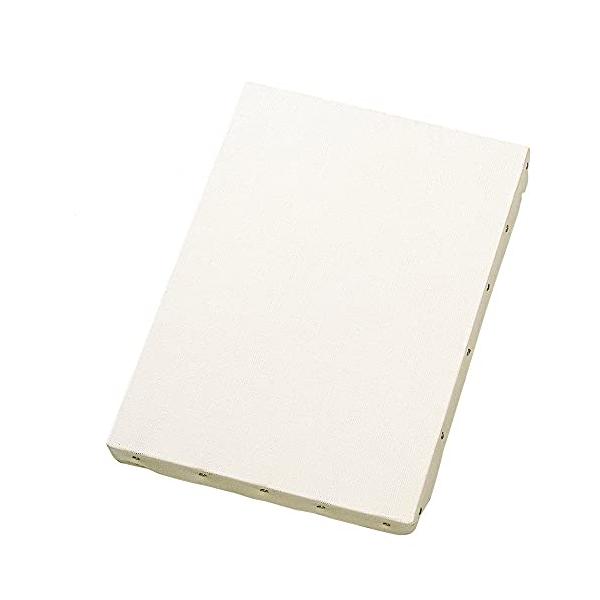 キャンバス/長さ61.5 cm x 幅47.5 cm/151927・Size:長さ61.5 cm x 幅47.5 cm・麻生地100% 中目・P12