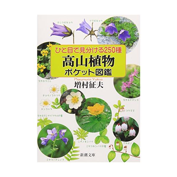 「こんな図鑑が欲しかった!!」写真とイラストでズバリ解説! 高山に咲く可憐な花々の名前が、その場ですぐわかる。山歩きに欠かせないグッズです。  登山のもうひとつの楽しみは、可憐な高山植物に出会えること。でも、この花はチングルマなのかチョウノ...