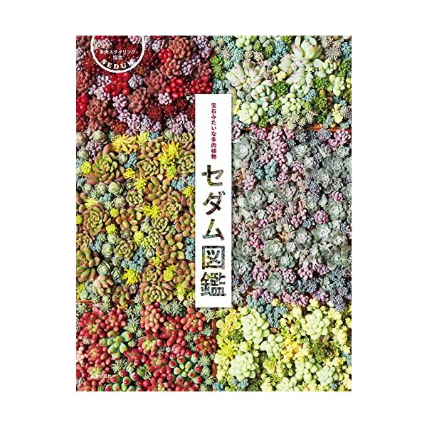 エケベリアと並んで人気の「セダム」に特化した図鑑です。国内はもとより各国で人気のセダムを一挙紹介していきます。近年人気のエケベリアとの交配種もたくさん掲載しています。
