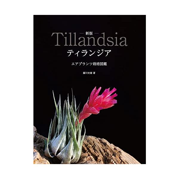 ティランジア（エアプランツ）についてすべてわかる！  土がなくても育つ“珍奇植物”としてティランジア(エアプランツ)の仲間たちは近年注目を集めています。栽培方法や管理方法、開花のポイント、増殖方法、そして美しい写真とともに解説するティランジ...