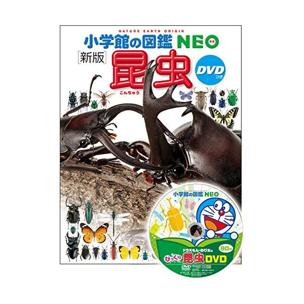 NEO「昆虫」にDVDつき新版登場!  小学館の図鑑NEOシリーズNo1の売れ行きをほこる『昆虫』に、DVDつき新版登場! 新版『昆虫』は、美しい標本写真、的確な生態写真、大きさが把握しやすい拡大率など、図鑑ページのクオリティはそのままに、...