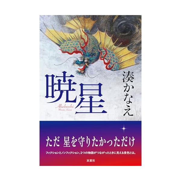 「ただ、星を守りたかっただけ――」 現役の文部科学大臣で文壇の大御所作家でもある清水義之が全国高校生総合文化祭の式典の最中、舞台袖から飛び出してきた男に刺されて死亡する事件がおきた。逮捕された男の名前は永瀬暁、37歳。永瀬は逮捕されたのち、...