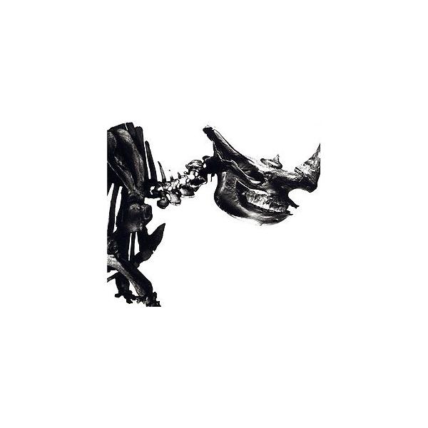 パッケージ個数:1