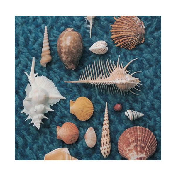 内容紹介  スピッツ結成30周年! 『CYCLE HIT 1991-1997 Spitz Complete Single Collection』を2017年最新のマスタリング盤でお届けします!  2006年にリリースされまたたく間に大ヒット...