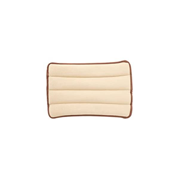 メディカルベージュ/L/F20892・パッケージ個数:1・Salofix ホット＆スチームパッド Lサイズ