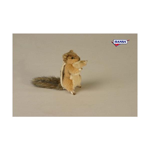-/-/BH4832・パッケージ個数:1・商品タイプ：リアルな動物のぬいぐるみ・動物：シマリス・【HANSAとは】1972年にオーストラリアで創業して以来、地球上に生息する動物を中心に様々な生物を研究し、細部までリアルに再現したぬいぐるみを...