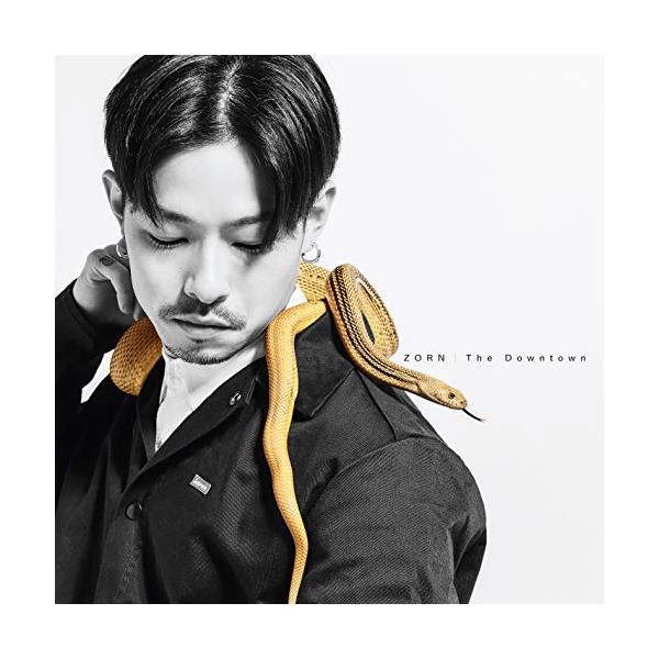 内容紹介  キャリア初のワンマンLIVE(2014年10月26日)を満員御礼で乗り超え、昭和レコードからのデビュー作となった「サードチルドレン」から約1年、更に高みを目指すZORNの2枚目のアルバム。  収録曲 1. Enter the d...