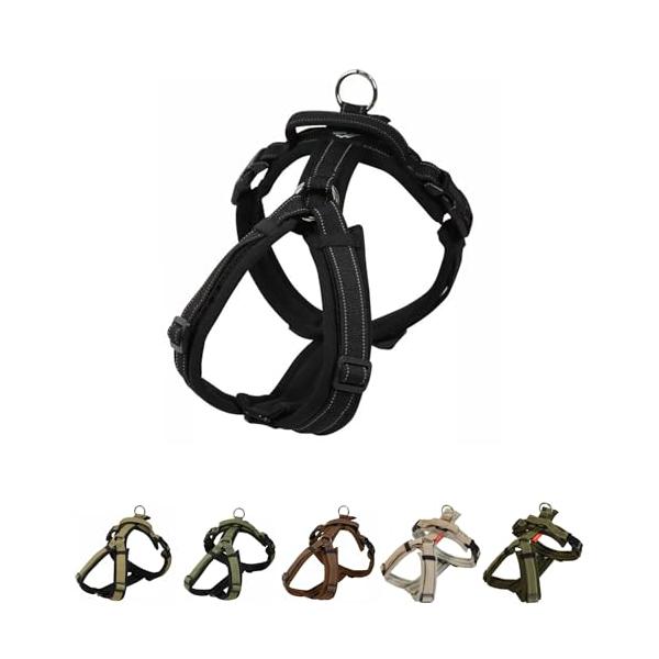 ブラック/Tiny/10000685-14-0・Size:TinyColor:ブラック・クッション性のある素材を採用