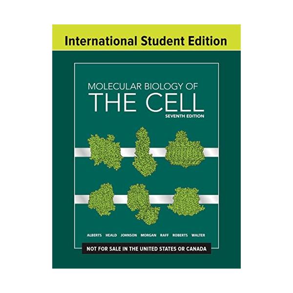 パッケージ個数:1