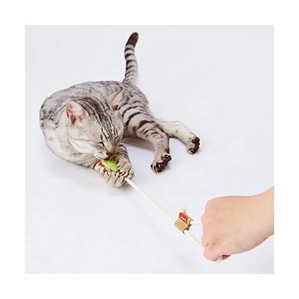 猫じゃらしグリーン/M/W26493・Color:グリーン・パッケージ個数:1・へちまの繊維で歯みがきおもちゃ・牛革のにおいがわんちゃんを刺激・天然素材のデンタル玩具・ロープ付き