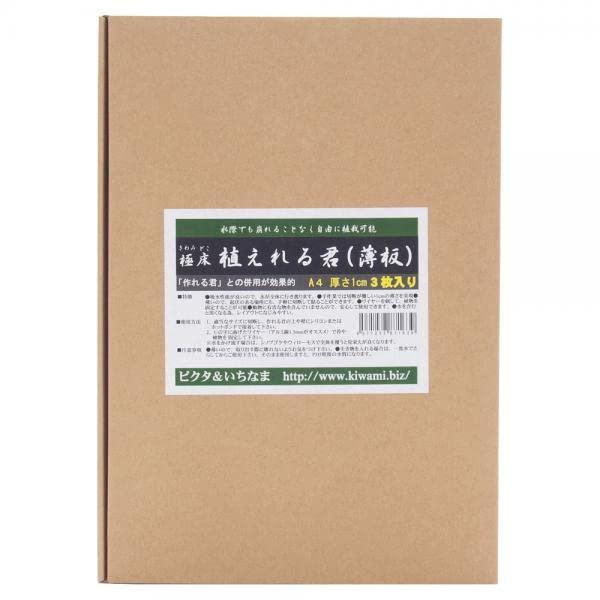 ベージュ/1cmx3枚/1cm・パッケージ個数:1・水際でも崩れることなく、吸水性に優れた植栽用フォーム (br) 爬虫類のケージ内レイアウトに最適な、植栽用フォームです。吸水性能が良く、高さのあるケージでも水を吸い上げてくれます。(br)...