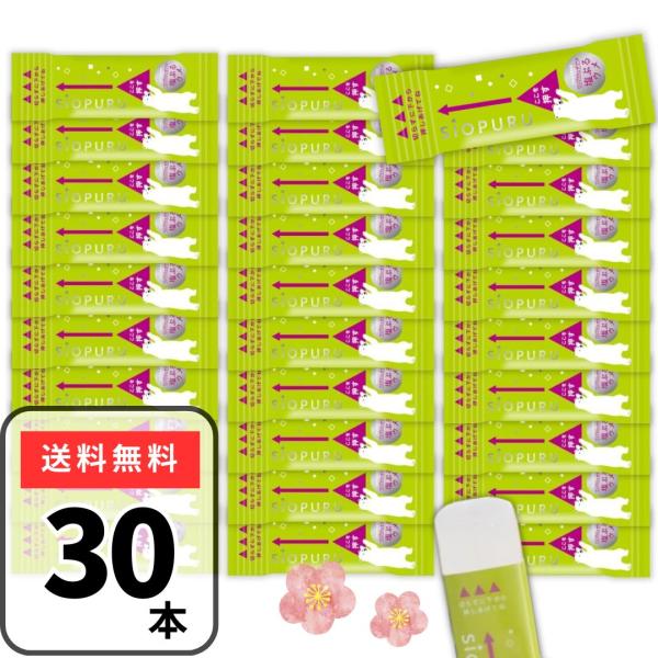 塩ぷるウメ 井村屋 ワンプッシュゼリー 30本　個包装 クエン酸 ゼリー 塩分補給 塩プル梅 梅ゼリー◆塩ぷるウメ【内容量】：30本（15g×30）【原材料名】：砂糖（国内製造）、果糖ぶどう糖液糖、うめ果汁、食塩／酸味料、ゲル化剤（増粘多糖...