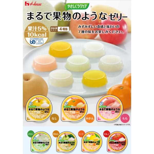 ハウス「やさしくラクケア まるで果物のようなゼリー」シリーズ　7種類セット・配合の工夫により、生の果物のおいしさ（食感・風味・果汁感）に近づけ、かむ力が弱い方でも食べやすいやわらかさと、飲み込む力が弱い方でも食べられるゼリーです。 日常の食...