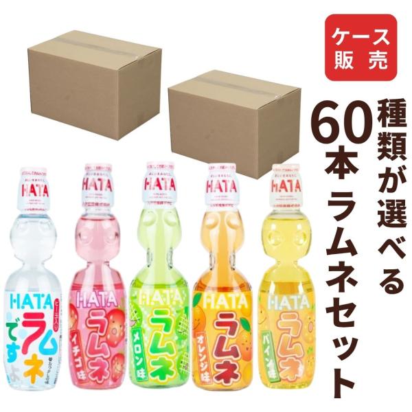 ★5種類の中からお好きな2種類をお選びください★1種類あたり30本となります。・ペットラムネですよ（プレーン味）30本・イチゴ味 30本・メロン味 30本・パイン味 30本・オレンジ味 30本ガラス瓶と違って割れる心配がなく、軽いペットボト...