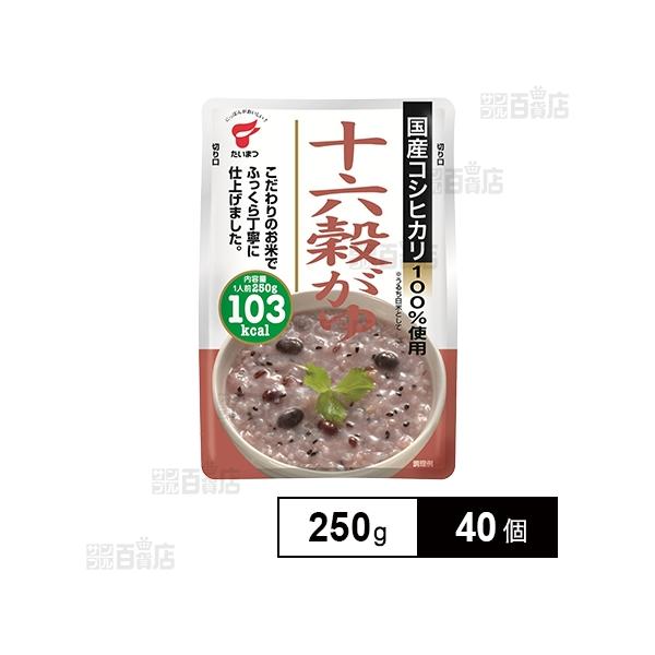 【発売日：2025年10月28日】