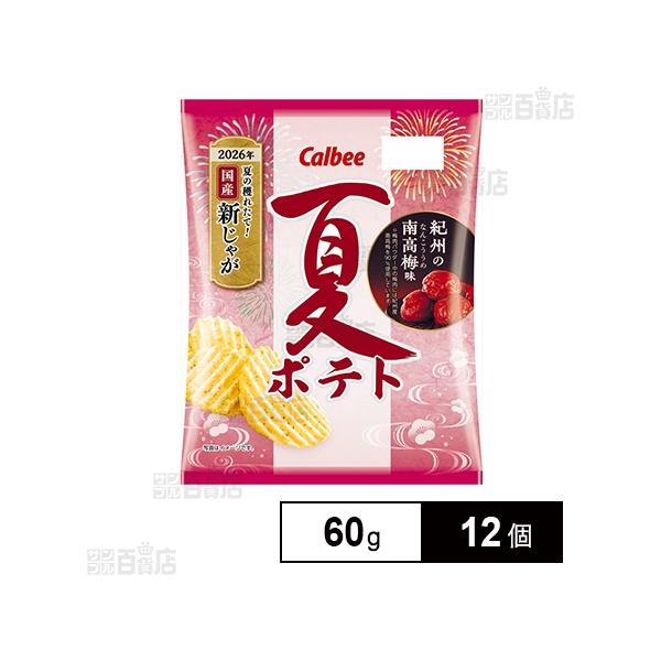 【発売日：2026年09月03日】