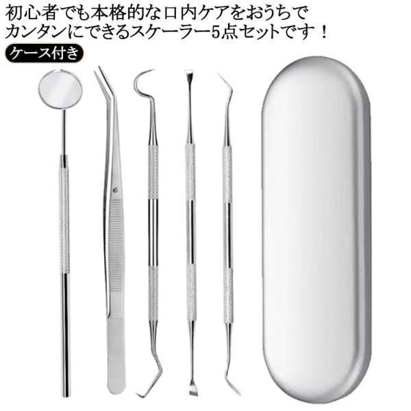セット内容：収納ケース×1・鎌型ツール×2 かき出し棒×1・ピンセット×1・歯用ミラー×1