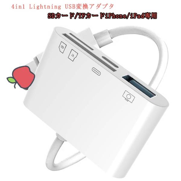 サイズ：フリー