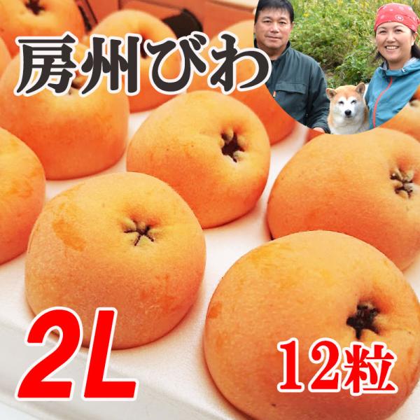 一つ一つ丁寧に袋掛けした南房総産のビワ♪房州びわ』には250年の歴史があり、明治42年からは毎年【皇室献上】もされている初夏のフルーツです。南房総の澄んだ空気と豊かな水源に恵まれた大自然の中で育つ房州びわは、大粒でみずみずしく驚くほどの果汁...