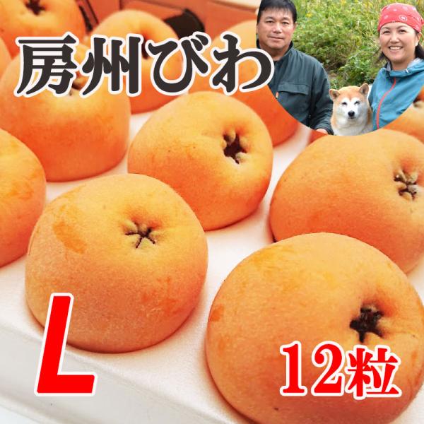 一つ一つ丁寧に袋掛けした南房総産のビワ♪房州びわ』には250年の歴史があり、明治42年からは毎年【皇室献上】もされている初夏のフルーツです。南房総の澄んだ空気と豊かな水源に恵まれた大自然の中で育つ房州びわは、大粒でみずみずしく驚くほどの果汁...