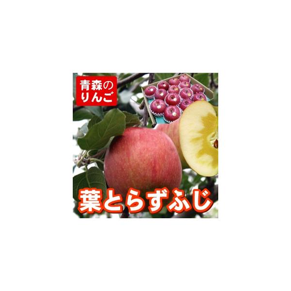 青森りんご【葉とらずふじ(はとらずふじ)】 フォーシーズン収穫まで葉を摘まないふじ。着色ムラがありますが蜜も高確率で、味は全品種中トップ!!サンふじ リンゴ 林檎 フルーツ 贈り物 贈答 産地直送 りんご◆糖度(参考)：14〜17度◆酸度(...
