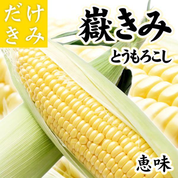 爆買 青森県弘前市の岩木山麓に広がる嶽高原で栽培されているとうもろこし標高が高く朝晩の寒暖差が大きいため、生で食べれるほど甘くなりますとくに早朝に収穫した嶽きみは、なんとメロンより甘い糖度18度嶽きみは全国からも注文が殺到する青森の人気ブラ...
