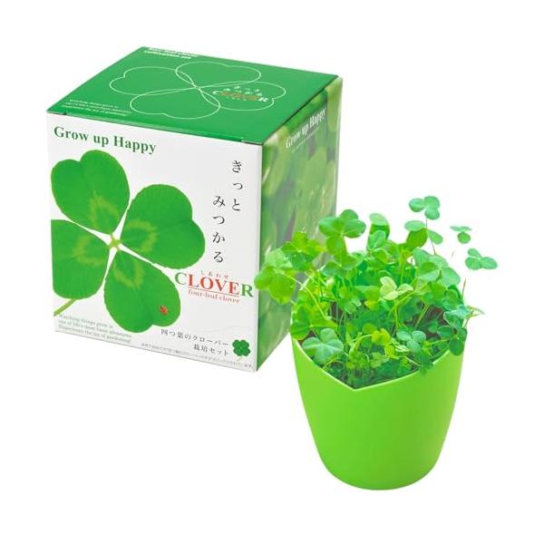 商品サイズ:約11.5*11.5*12.3cmセット内容:プランター(PP),インナーポット,鉢底シート,種,土,説明書*各1 高確率で四葉が育つ ニュージーランドの四つ葉探しの名人が、長期にわたり自然交配をし続けて誕生した特別な種が入った...
