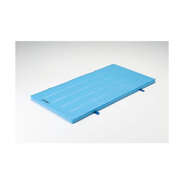 防水・防炎加工 外被にはESターポリンという、防水・防炎加工を施した帆布を使用しています。屋外等の汚れやすい場所での使用に適したマットです。 汚れは雑巾などで拭きとれます。 マット運動 クッションが柔らかく、着地のショックを和らげる体操マッ...