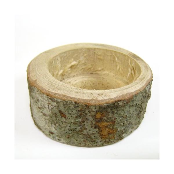 日常使用ペット用品/昆虫/飼育ケース・アクセサリー