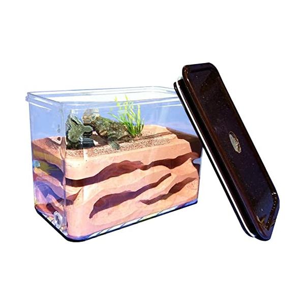 良質の材料：アリの巣は良質のプラスチックと石膏を采用し、優れた仕上がり、、安全で耐久性があります。この石膏の巣はアリの生息環境に近く、より生態的です。石膏の巣はアリの繁殖に適しており、アリの活動をよく観察することができます。ユニークな設計：...