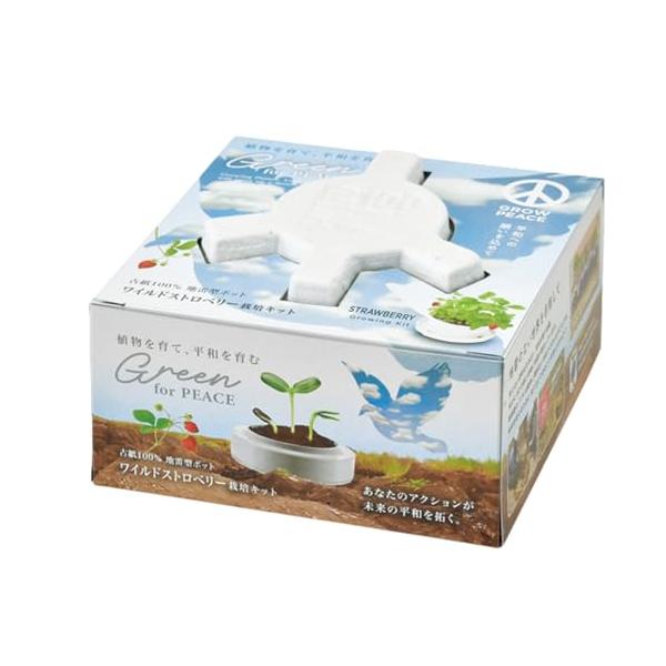 紙取説なし。箱の二次元コードより/古紙100％のポットは地雷をイメージした形で使用後は土に埋めることで自然に還ります。/植物の色・形・サイズには個体差がありますので予めご了承ください。DIY・工具・ガーデン/ガーデン/種・苗/栽培キット