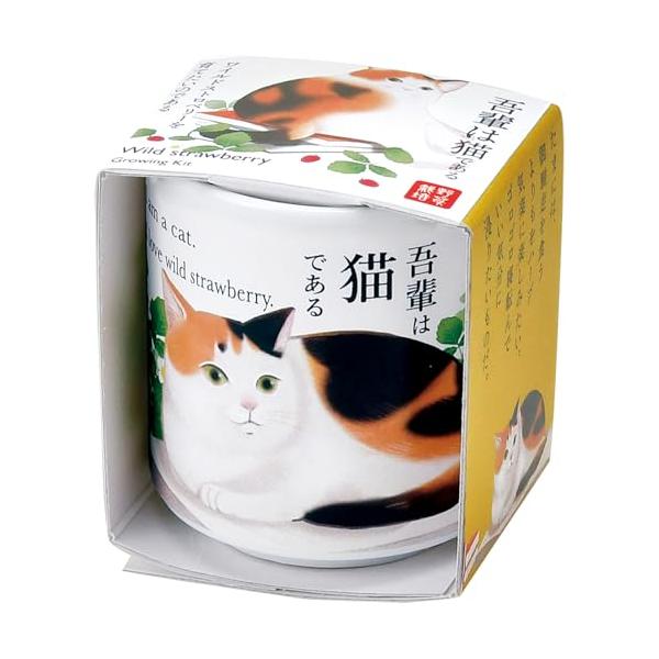 商品サイズ:約4.3*4.3*4.8cm商品重量:約80g素材:陶器生産国:日本DIY・工具・ガーデン/ガーデン/種・苗/栽培キット