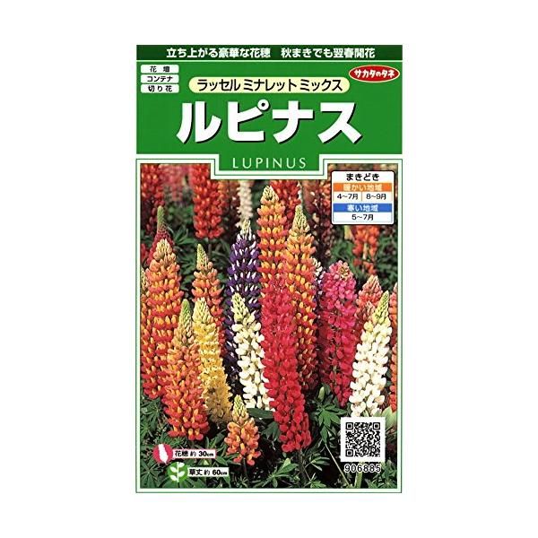 詰量:1ml発芽率:50%採苗本数:10まきどき:春・秋DIY・工具・ガーデン:ガーデン:種・苗:種:花