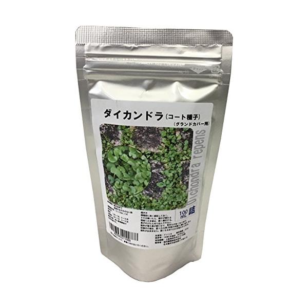 製造国：日本 種子生産地：アメリカ他 本種は、ヒルガオ科の多年草で、関東以西では越冬が可能なグランドカバープランツとして人気です。土壌被覆力が強く、雑草の侵入を防止します。耐暑性、耐陰性、耐湿性に優れ、芝が育たない場所でも生育します。播き時...