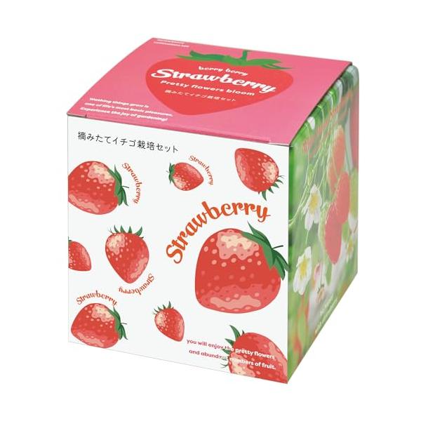 [ギフトに]栽培キット：摘みたてイチゴ栽培セット[苺 いちご 種から育てる栽培キット]DIY・工具・ガーデン/ガーデン/種・苗/栽培キット