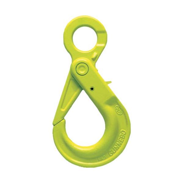 基本使用荷重(t)：10.0適合チェーン線径(mm)：20寸法(mm)m：68寸法(mm)p：289寸法(mm)P：289寸法(mm)t：46寸法(mm) b：30寸法(mm)t：46*寸法(mm) a：60*寸法(mm)s：63DIY・工...