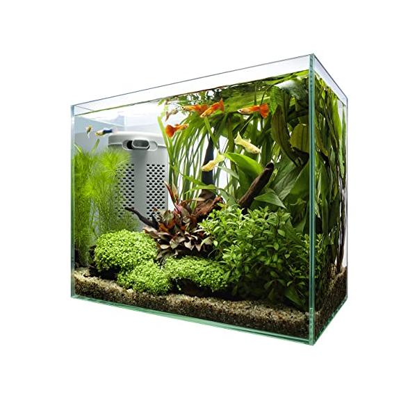 自分の好きな世界を、自由自在に水槽内に作れる水槽セット音が静かな水中モーター式フィルター付きのオールガラス水槽セット商品ラインナップは、水槽の横幅が30、45、60cmセット内容は、水槽、専用ガラスフタ、サイレントフレックスミニ水槽サイズは...