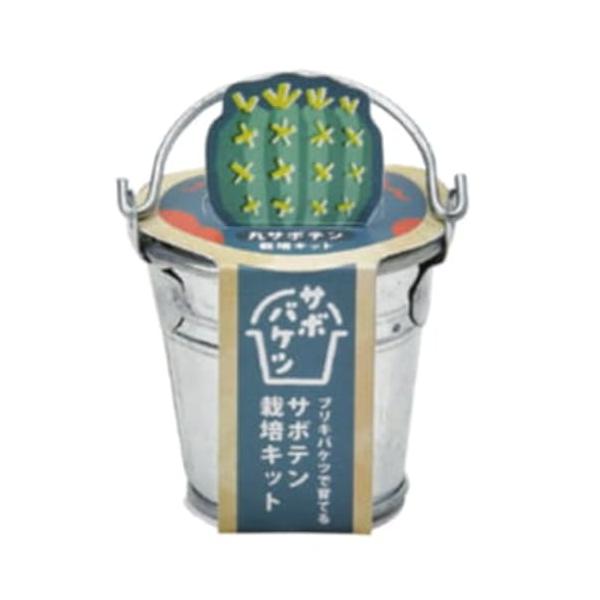 植物の色・形・サイズには個体差がありますので予めご了承ください。DIY・工具・ガーデン/ガーデン/種・苗/栽培キット