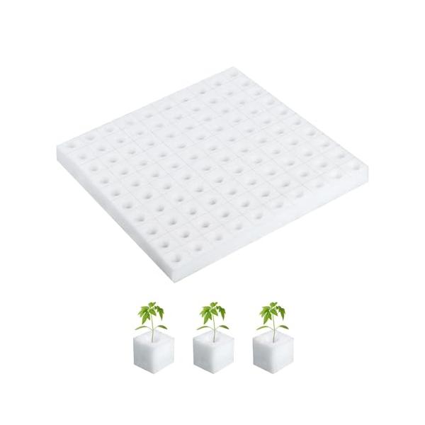 商品仕様 ：スポンジ1個 小さなスポンジ100個 が付属します。各小さなスポンジのサイズは約25*25*25 mmです。別々に使用することもできます。 高品質の効果 ：これらのスポンジは高品質の素材で作られており、安全に使用できます。無土壌...