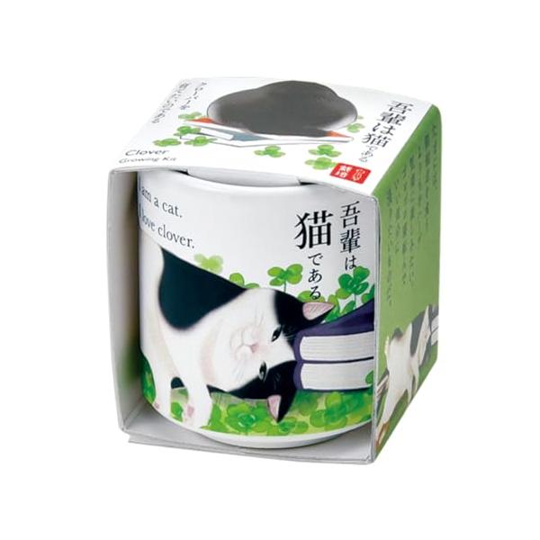 植物の色・形・サイズには個体差がありますので予めご了承ください。DIY・工具・ガーデン/ガーデン/種・苗/栽培キット