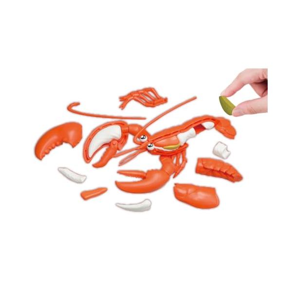 皿シートにのせてディスプレイ もぎって外せる 動かせる おもちゃ:パズル:立体パズル