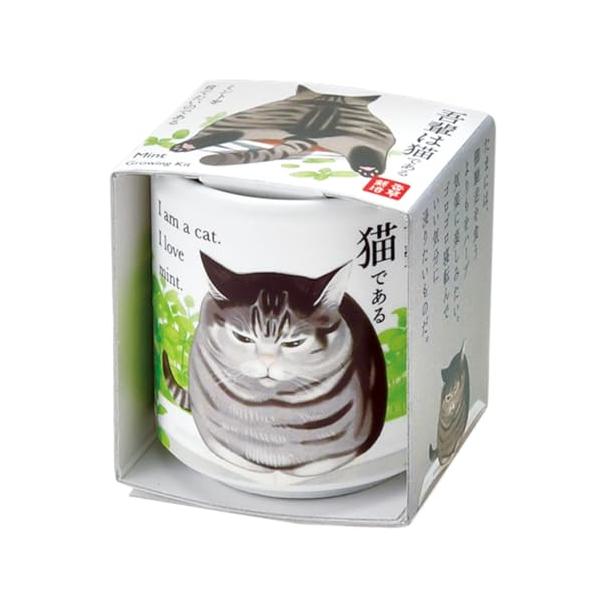 植物の色・形・サイズには個体差がありますので予めご了承ください。DIY・工具・ガーデン/ガーデン/種・苗/栽培キット